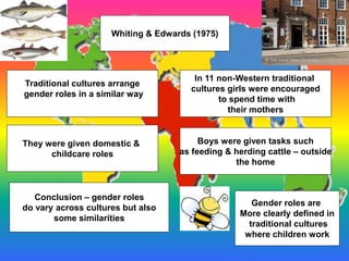 A2 Cross cultural research into gender roles | PPTX