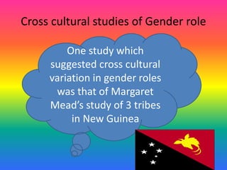 A2 Cross cultural research into gender roles | PPTX