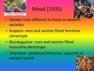 A2 Cross cultural research into gender roles | PPTX