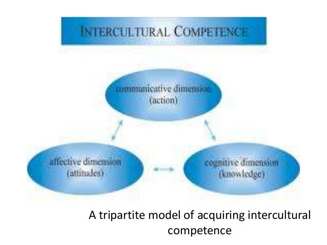 Thinking About Cross-Cultural Competence in Language Teaching