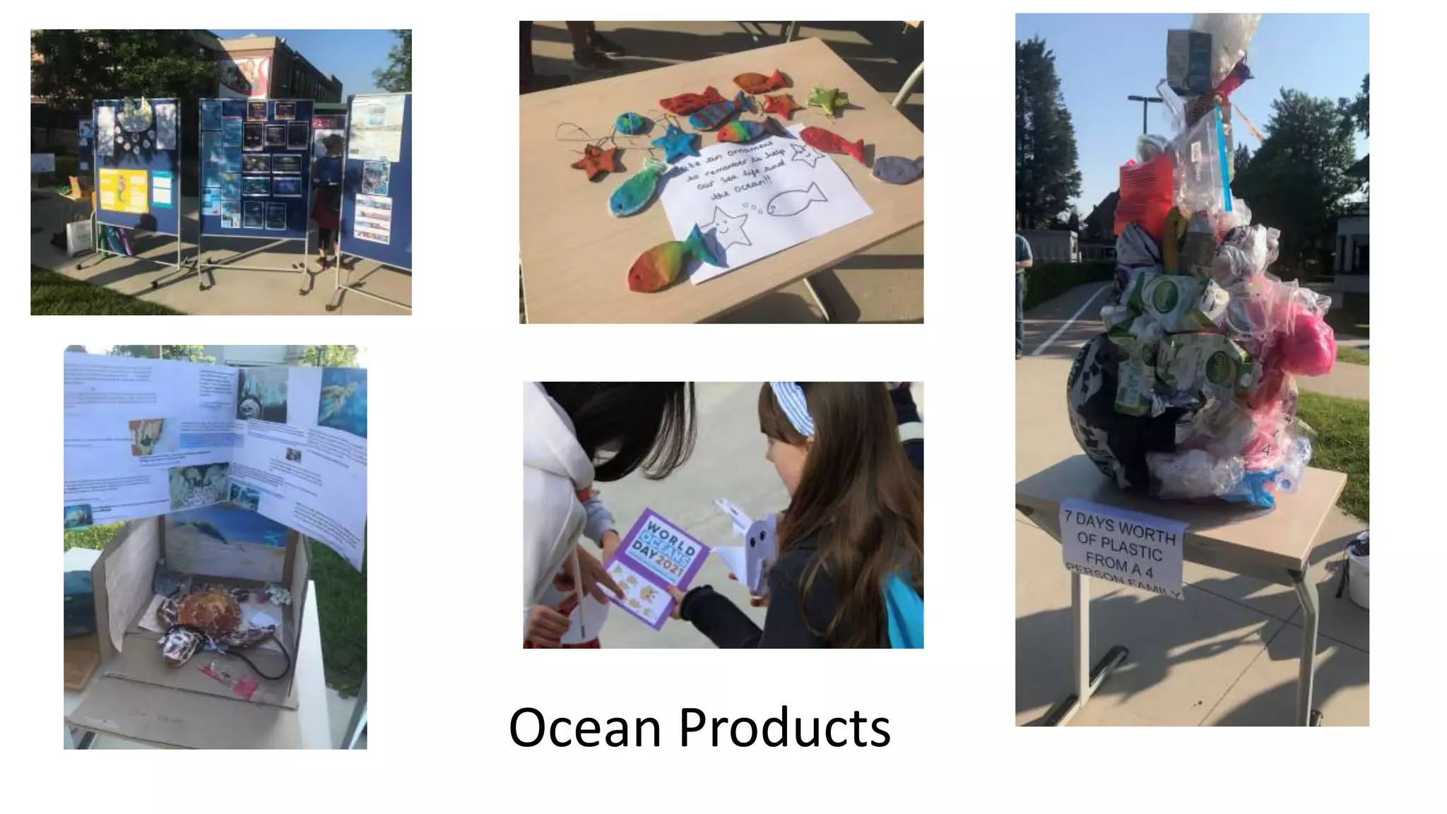 Cross curricular projects 2021 | PPTX