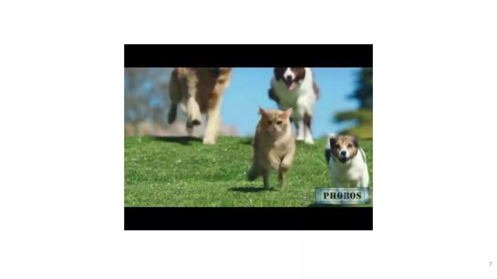 Cross curricular projects 2021 | PPTX