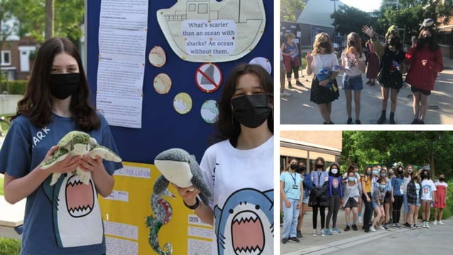 Cross curricular projects 2021 | PPTX | Educational Assessment | Education