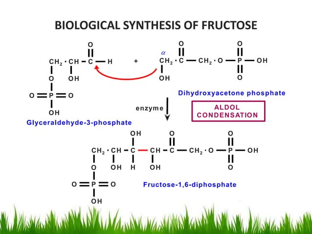 Crossed aldol condensation | PPTX | Chemistry | Science