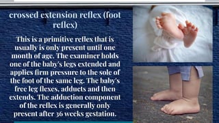 Crossed extention reflex | PDF