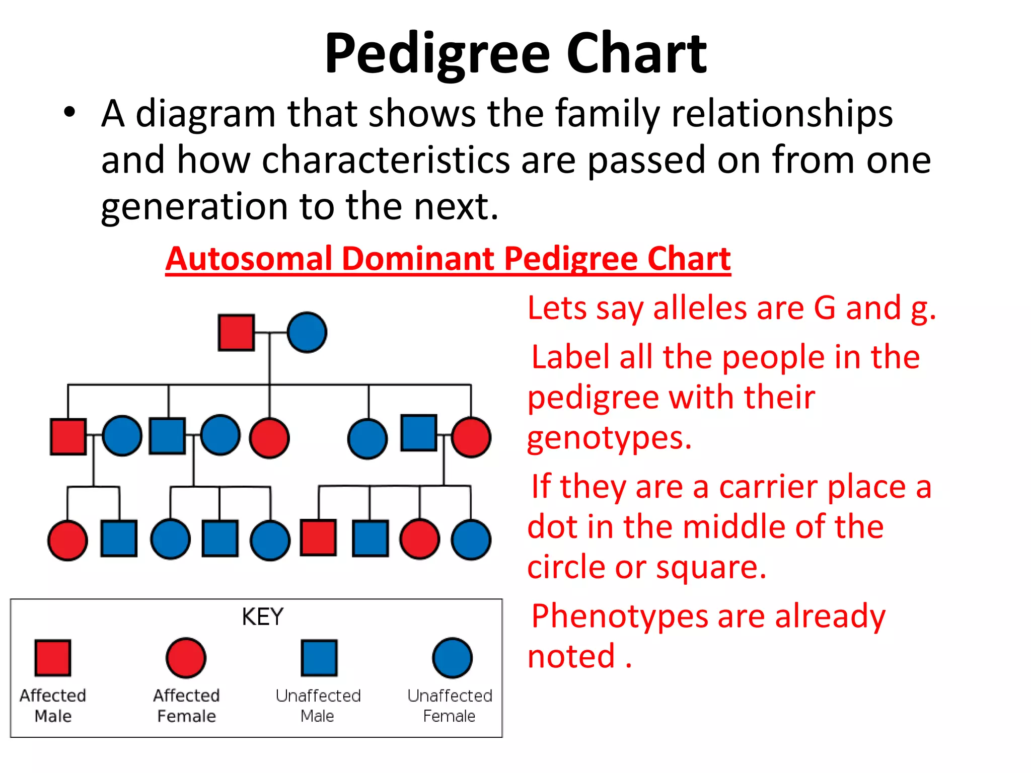 Crosses and pedigrees | PPTX