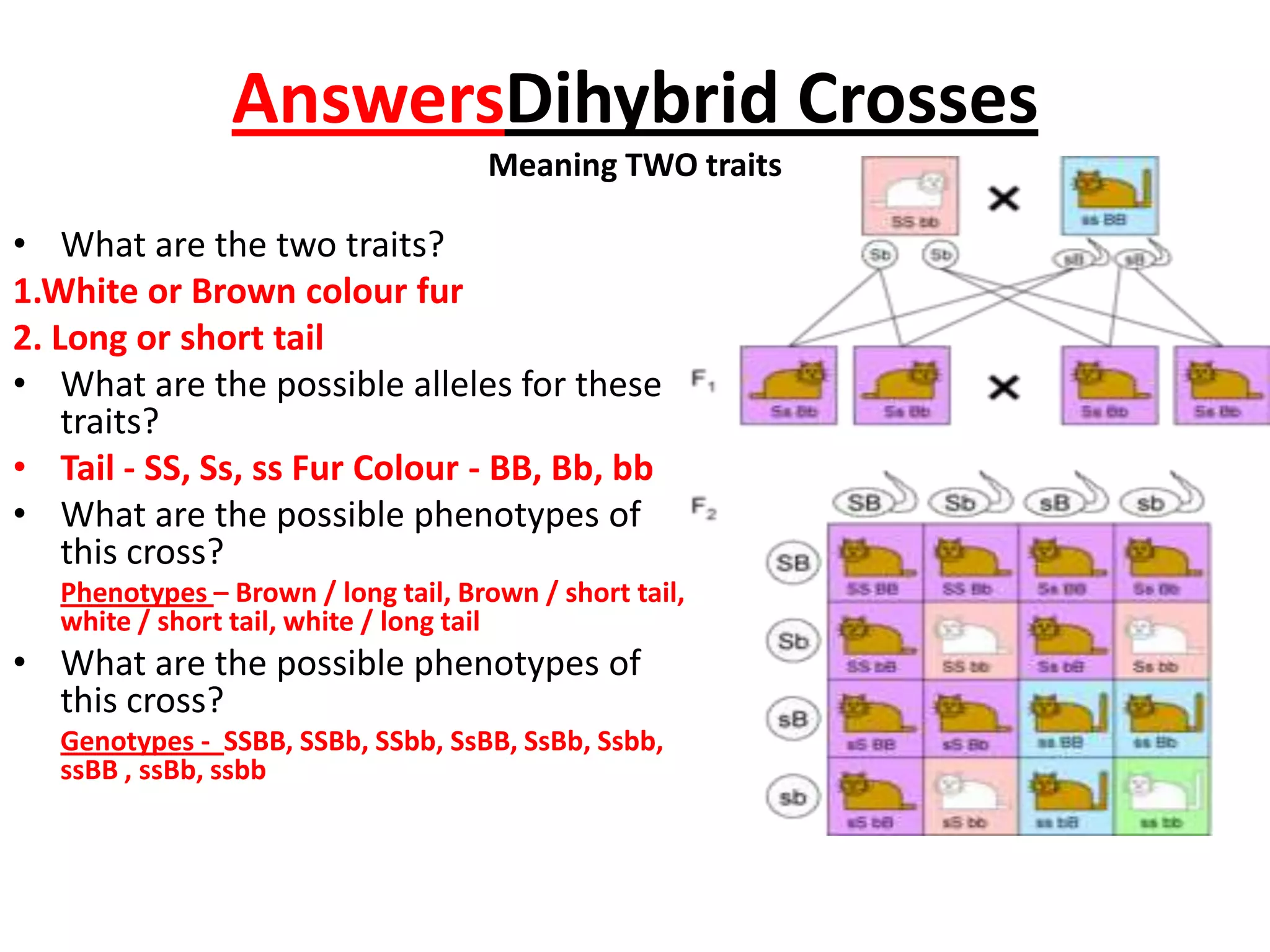 Crosses and pedigrees | PPTX