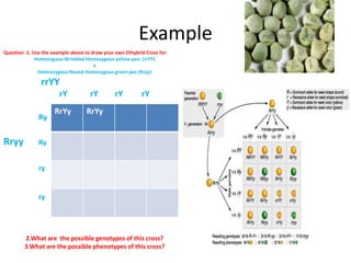 Crosses and pedigrees | PPTX | Internet for Beginners | Internet