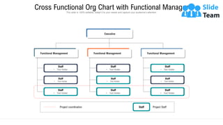 Cross Functional Org Chart With Functional Manager | PDF