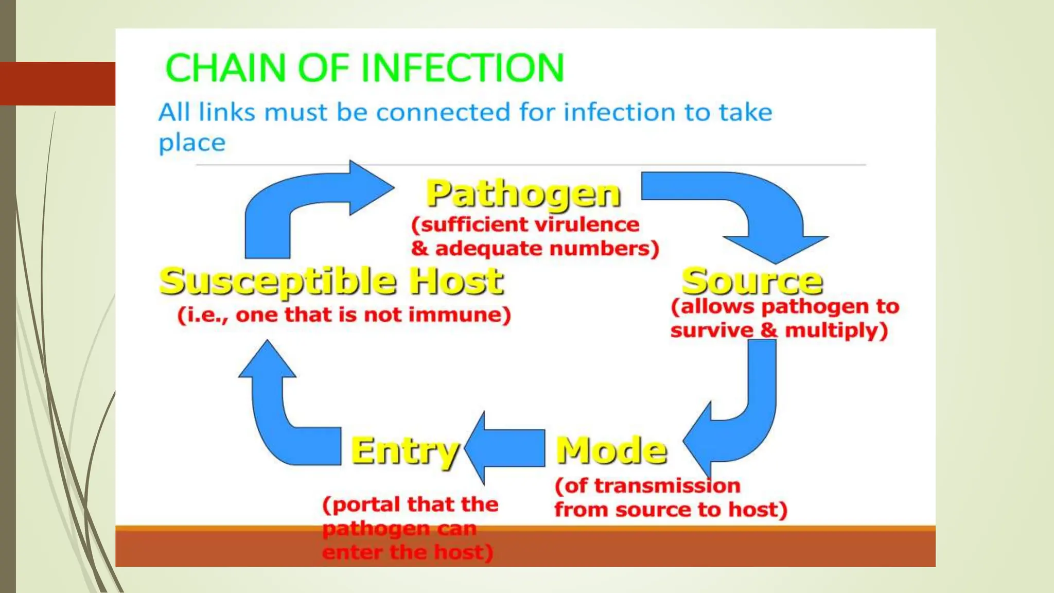 Cross Infection Control in operative dentistry and endodontics .pptx