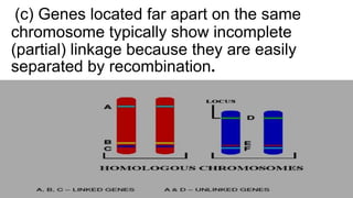 LINKAGE AND CROSSING OVER | PPTX