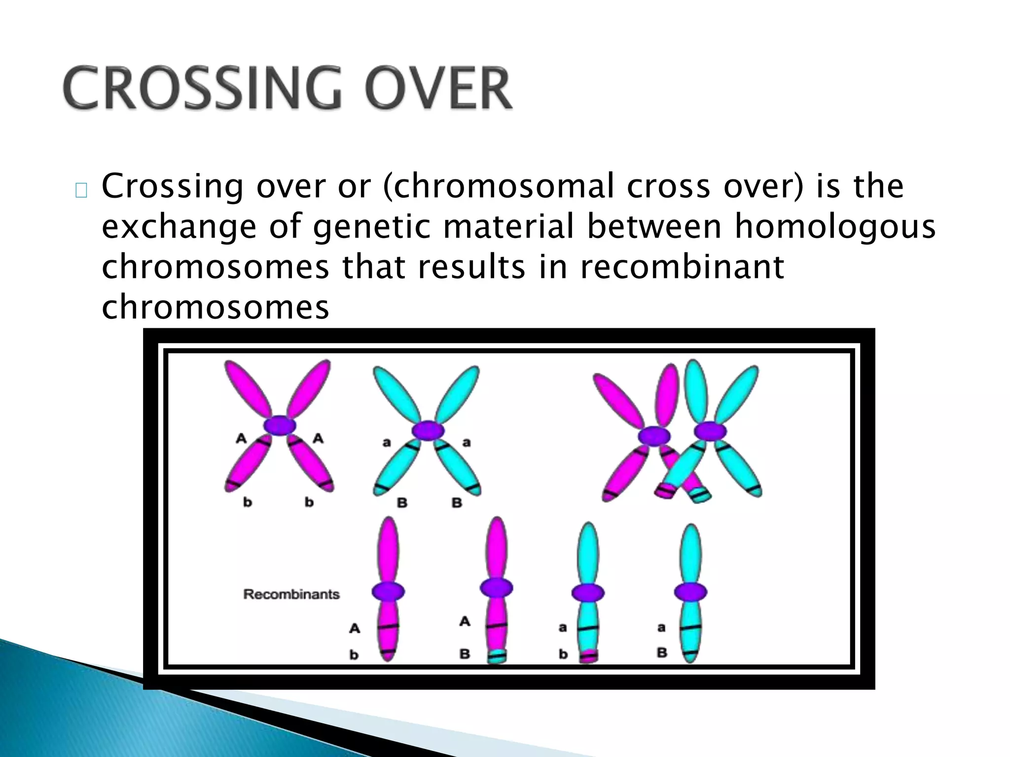 Crossing over | PPTX