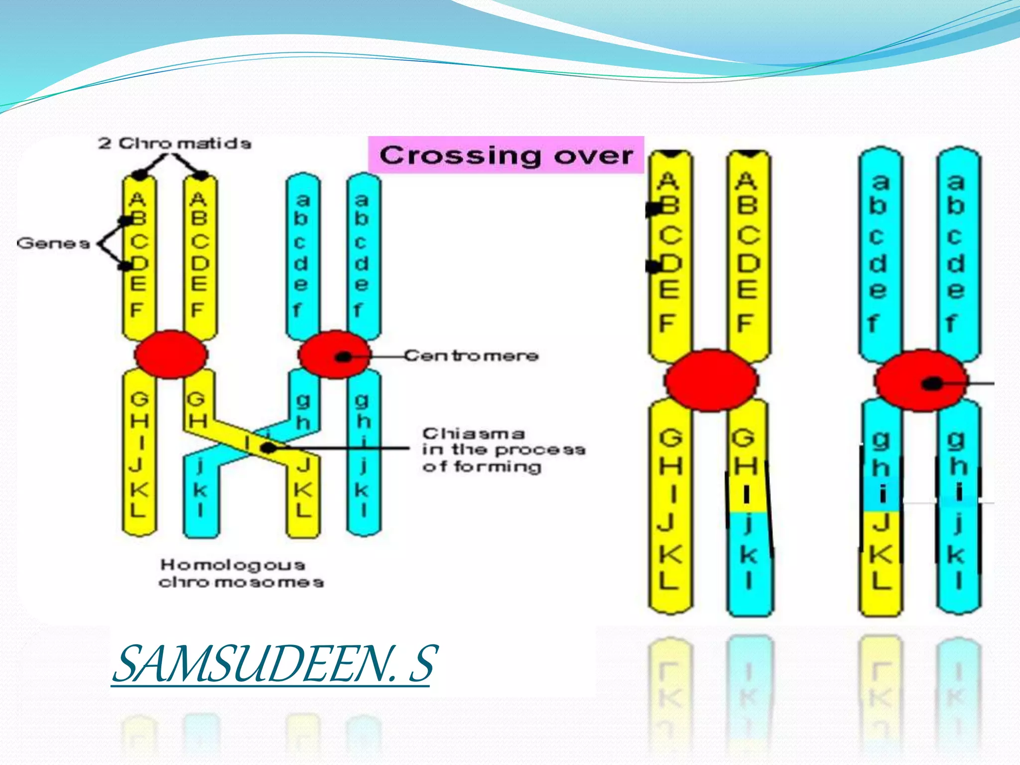 Crossing over | PPTX