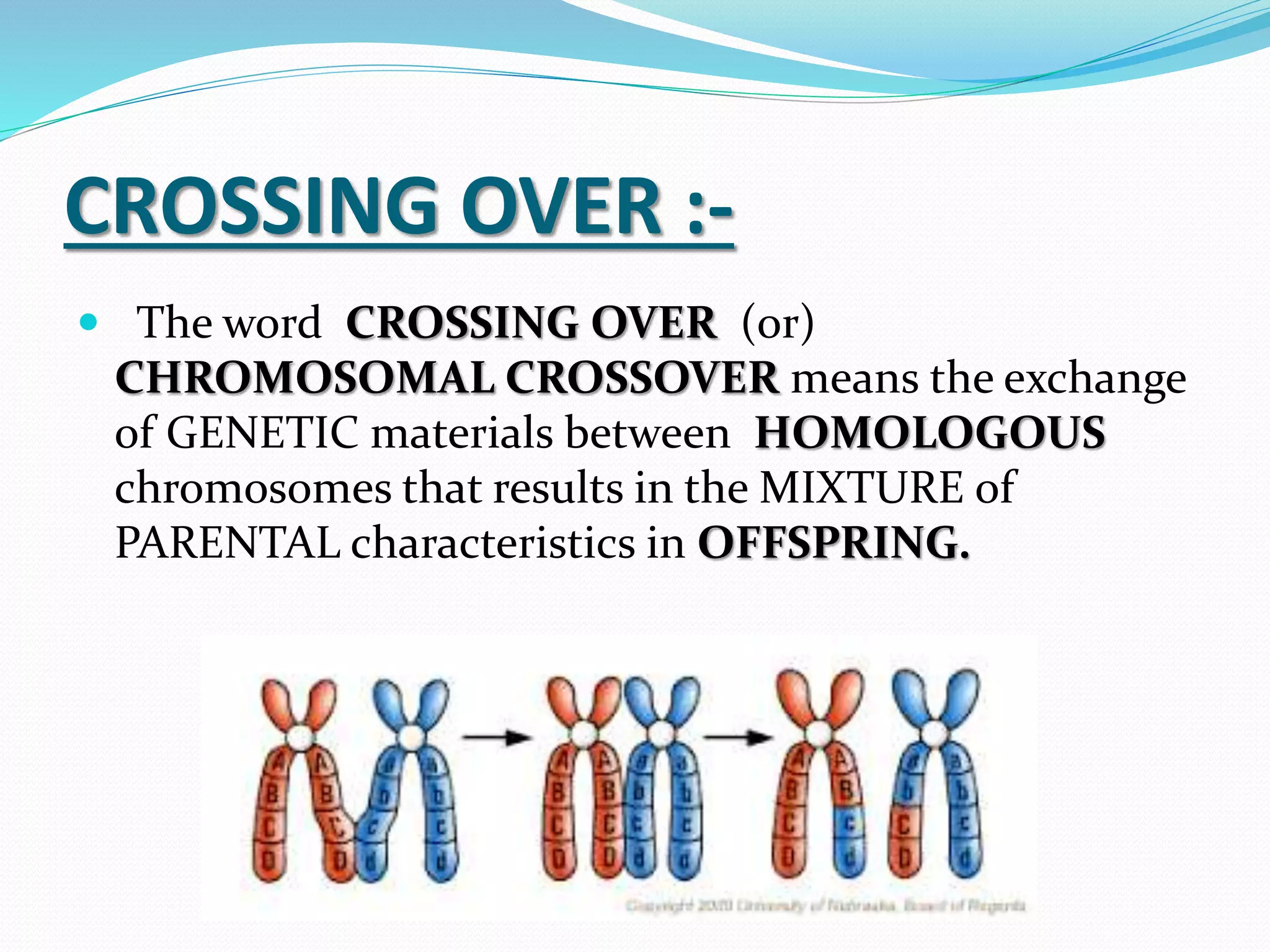 Crossing over | PPTX