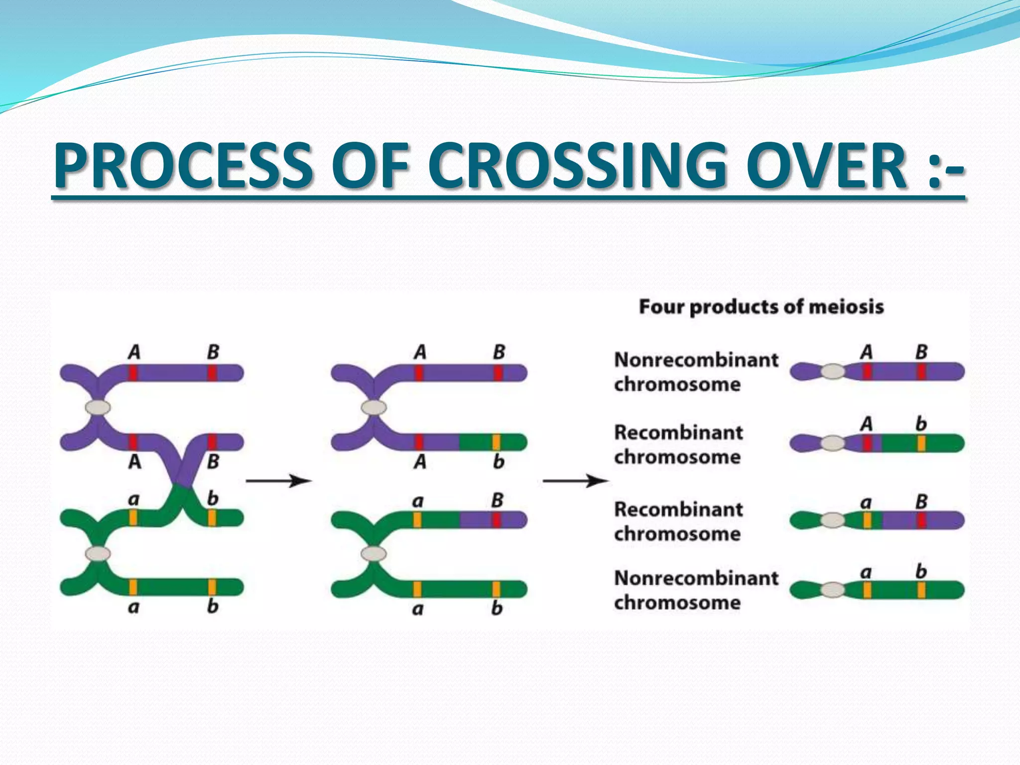 Crossing over | PPTX