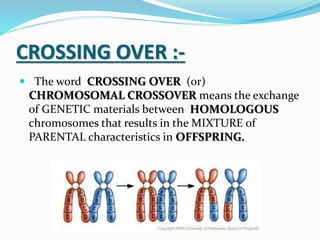 Crossing over | PPTX
