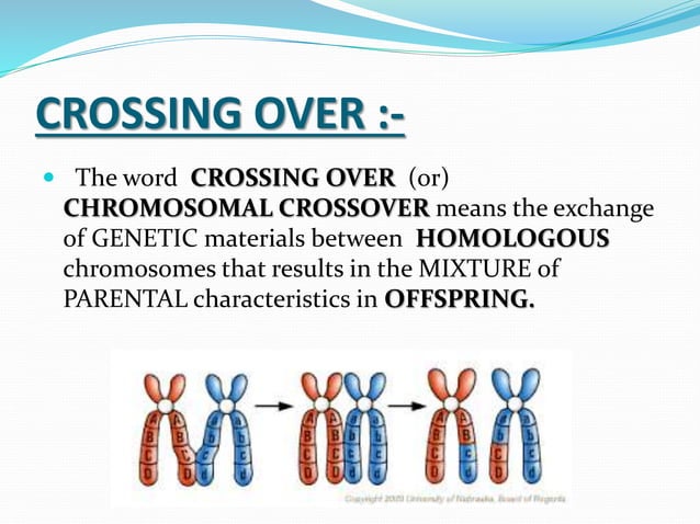 Crossing over | PPTX