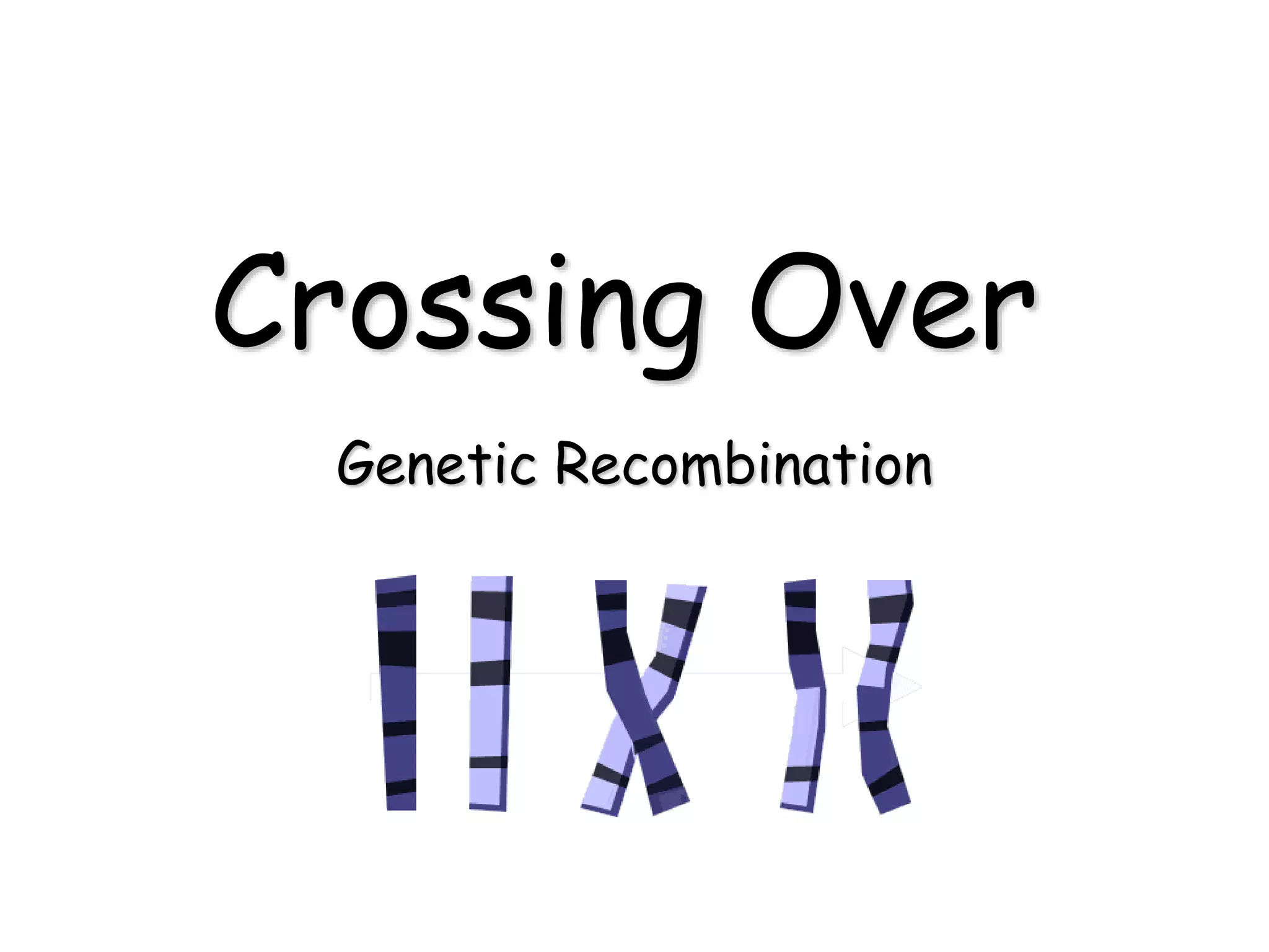 Crossing over | PPT