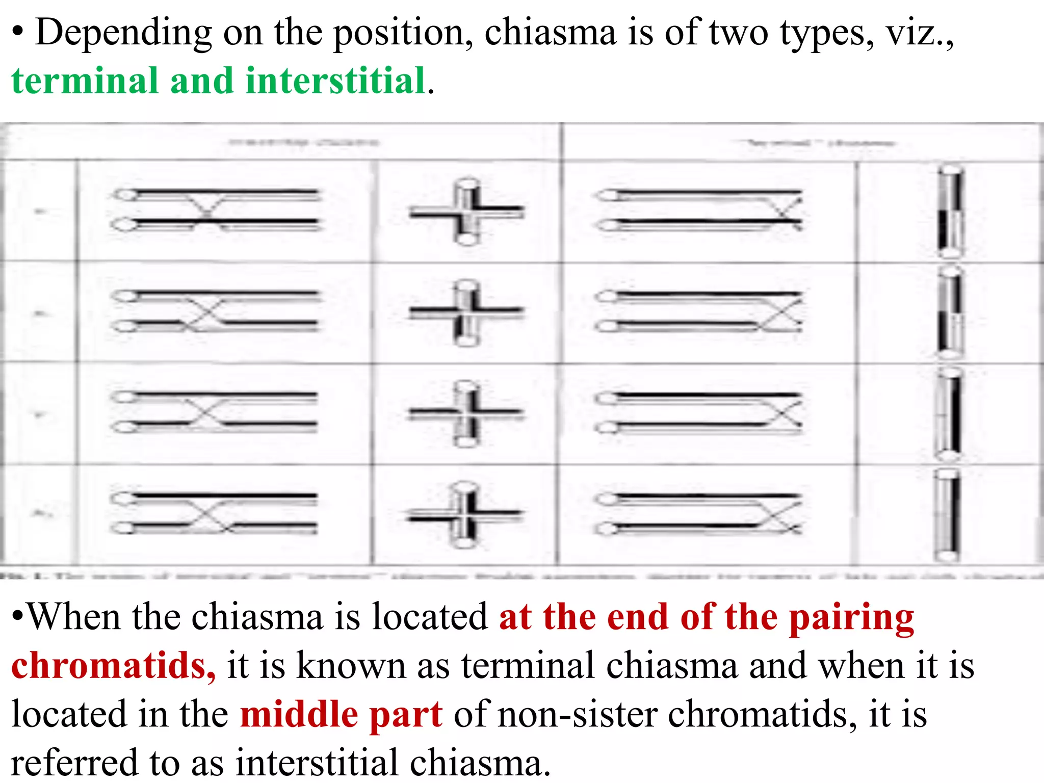 Crossing over | PPTX