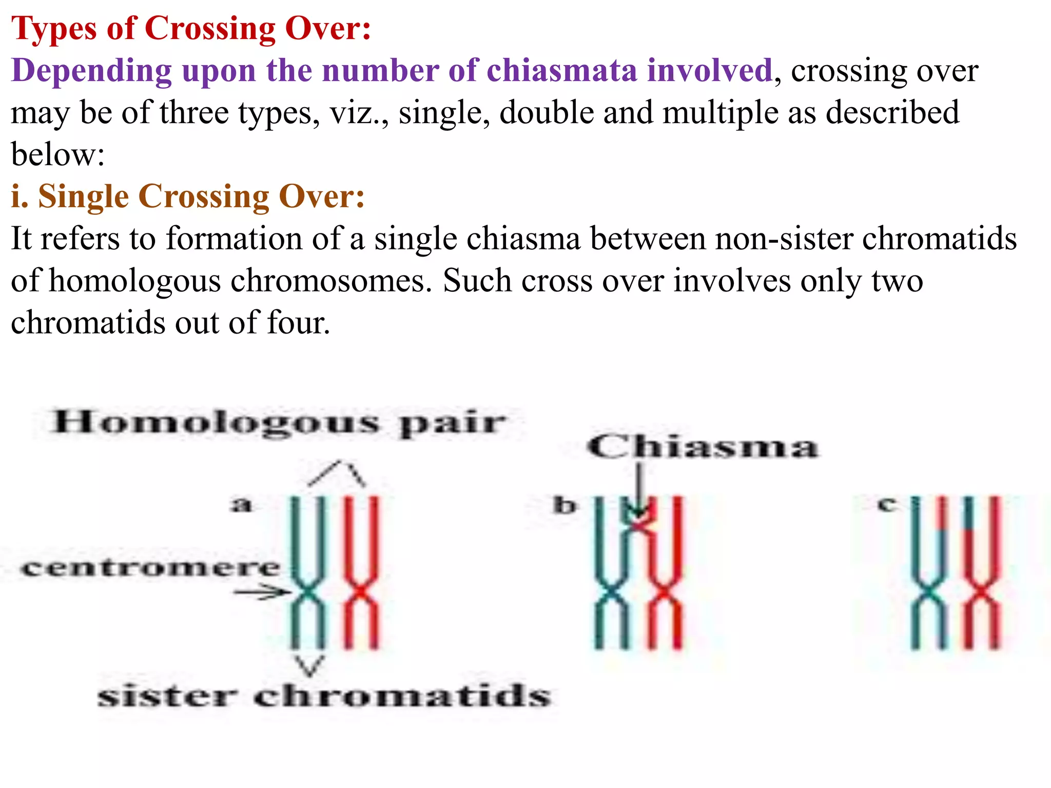Crossing over | PPTX