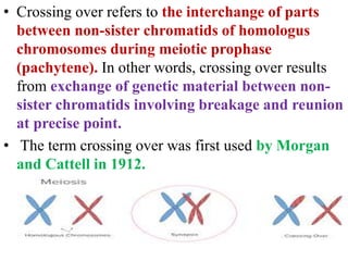 Crossing over | PPTX