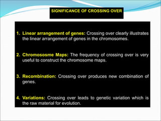 crossing over.ppt