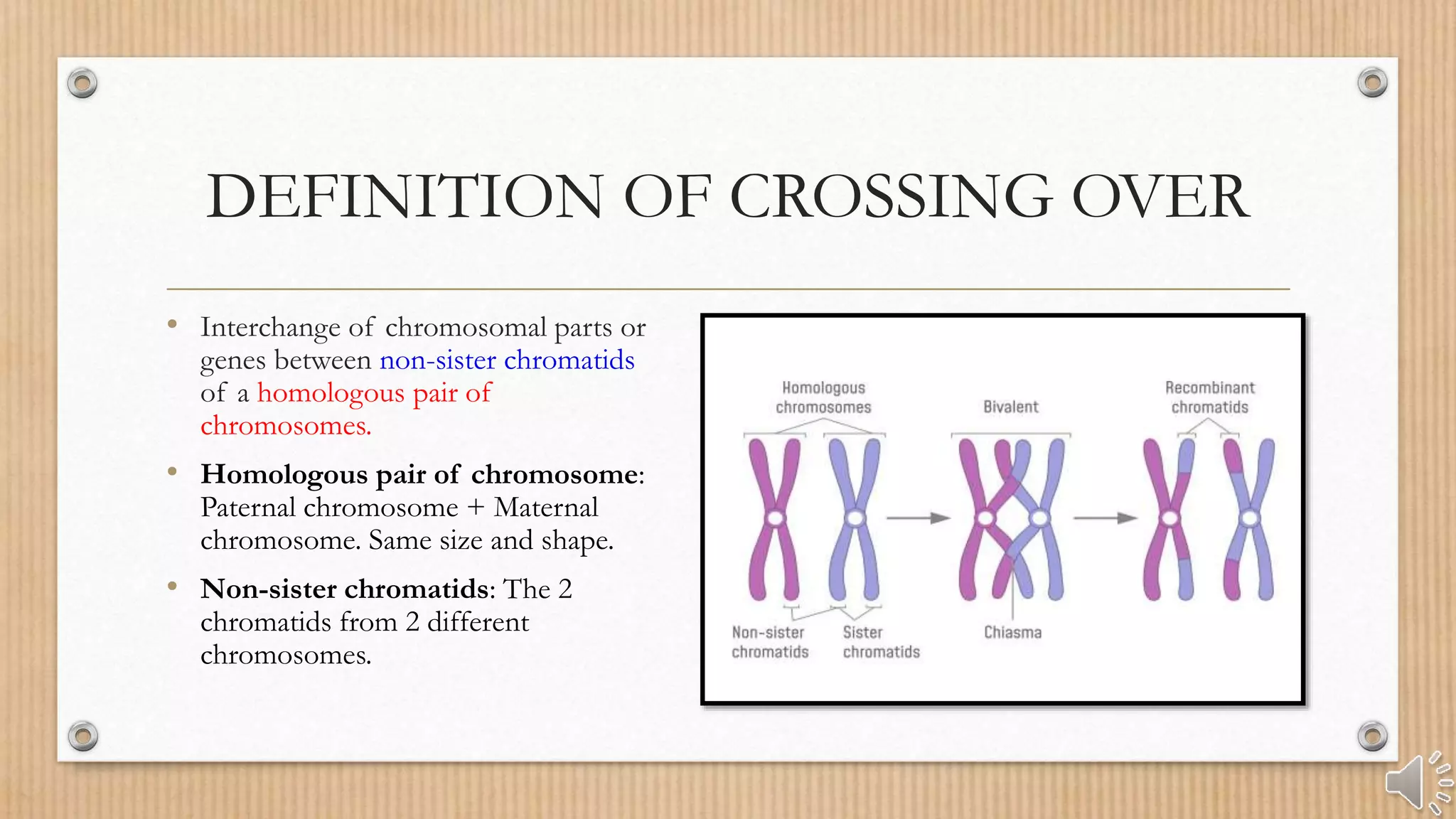 CROSSING OVER | PPTX