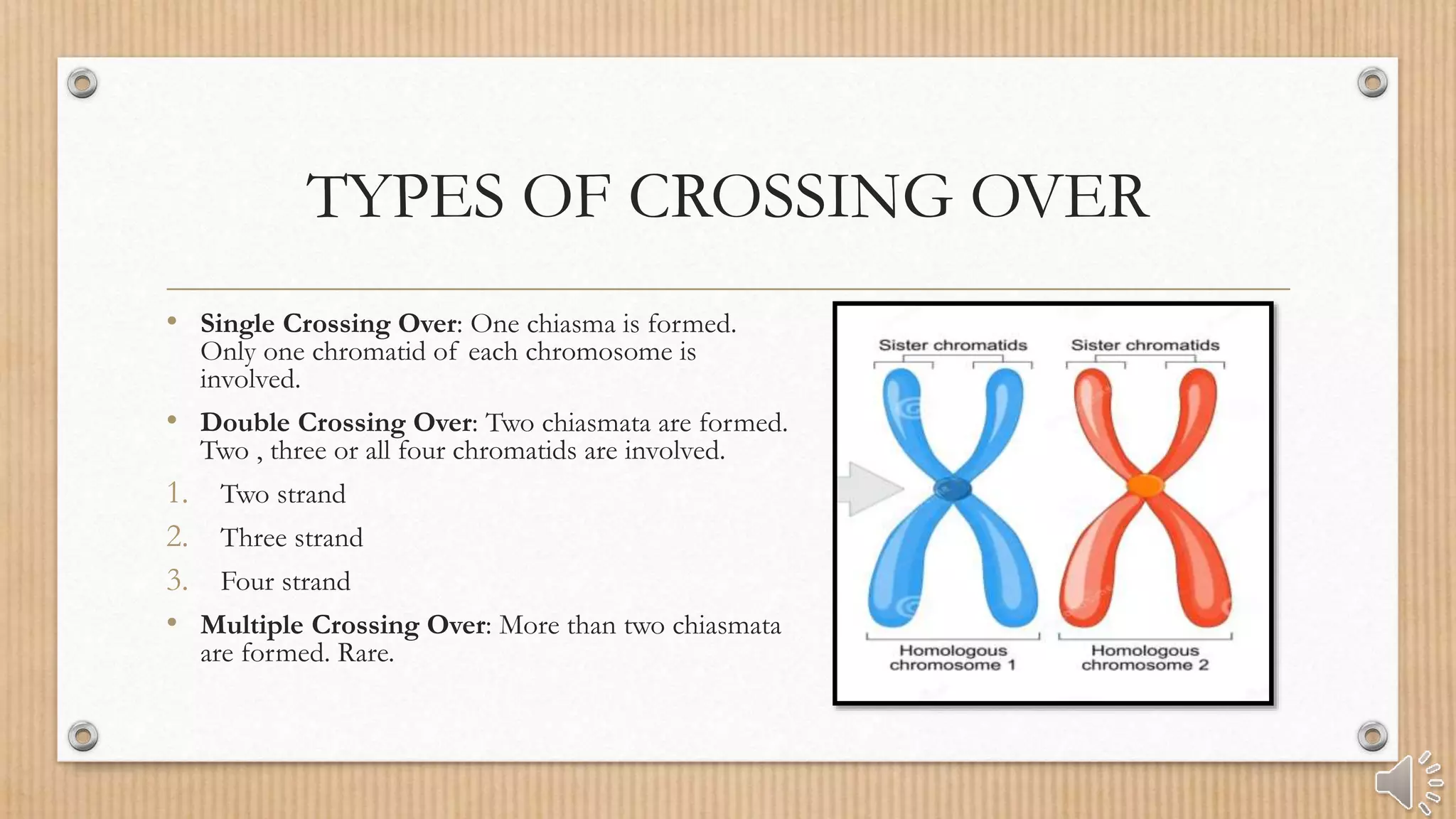 CROSSING OVER | PPTX