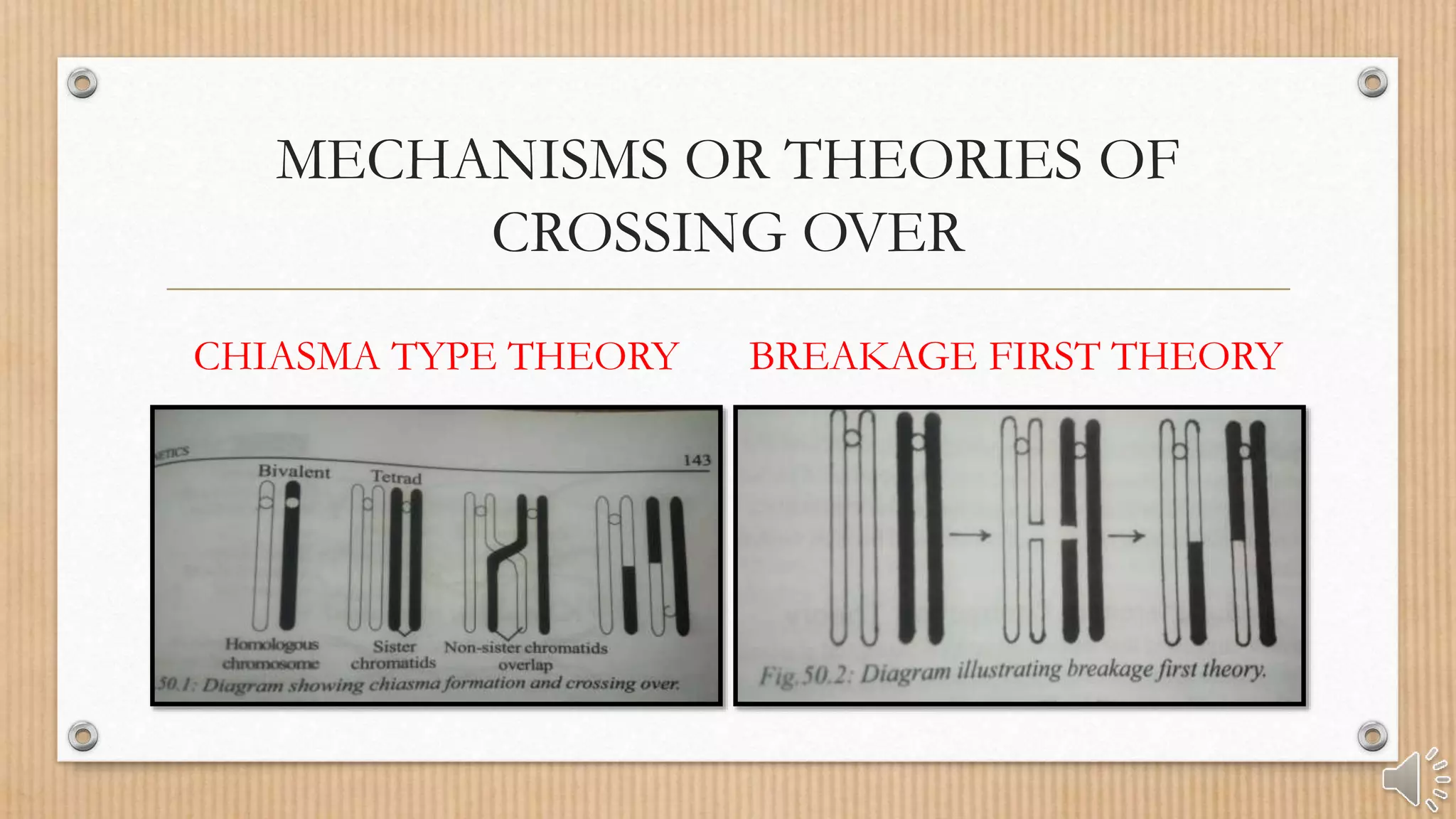 CROSSING OVER | PPTX
