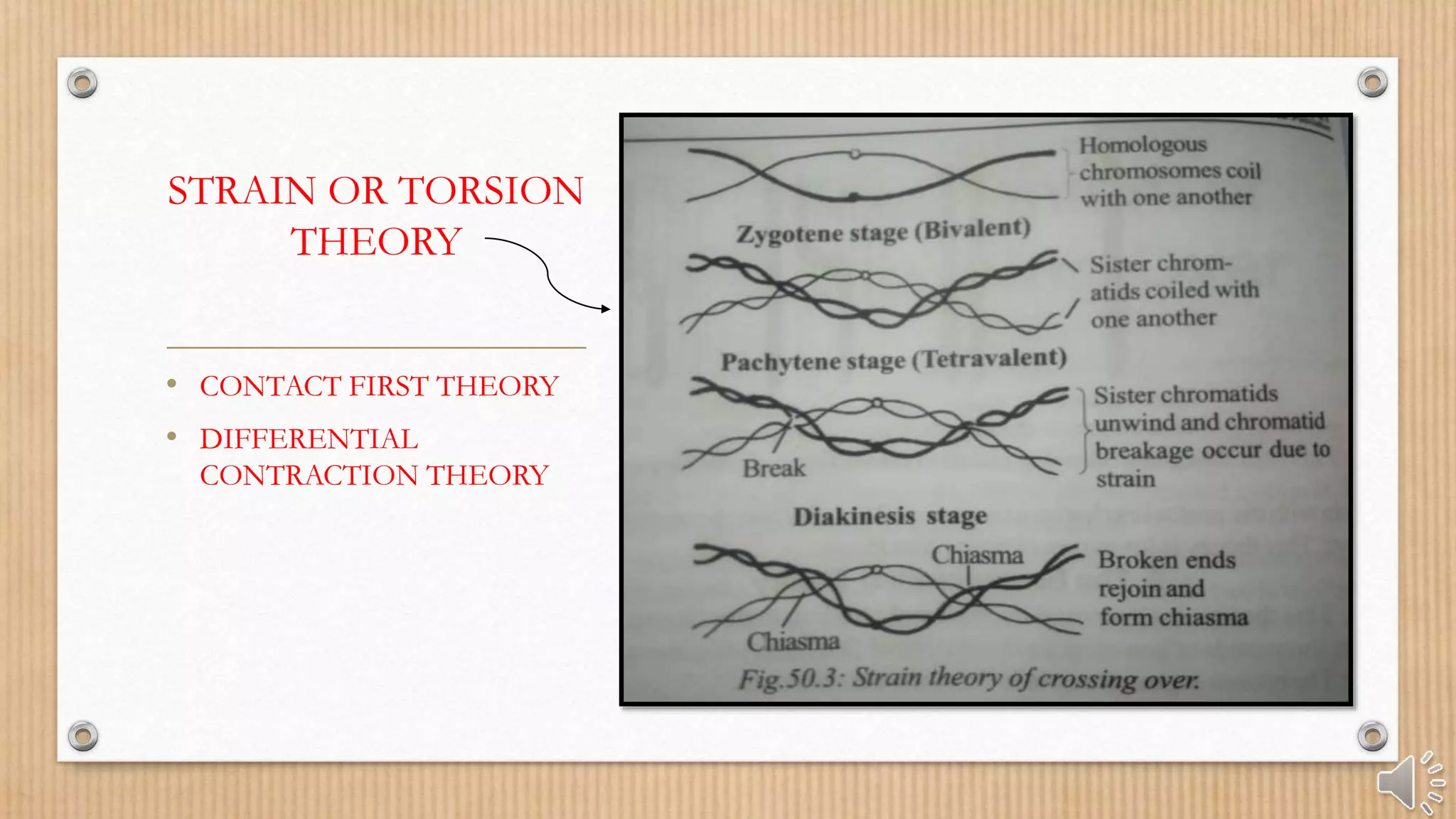 CROSSING OVER | PPTX