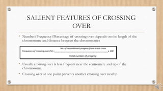 CROSSING OVER | PPTX
