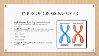 CROSSING OVER | PPTX