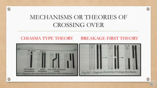 CROSSING OVER | PPTX