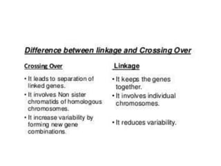 Crossing Over.pptx