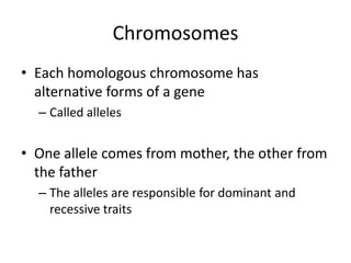 Crossing over and independent assortment | PPTX