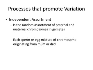 Crossing over and independent assortment | PPTX