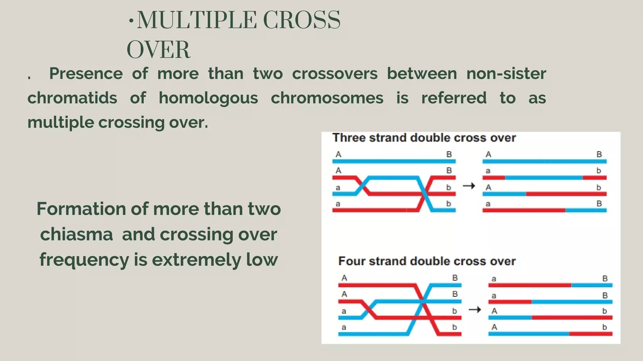 Crossing over and Recombination in Meiosos.pdf