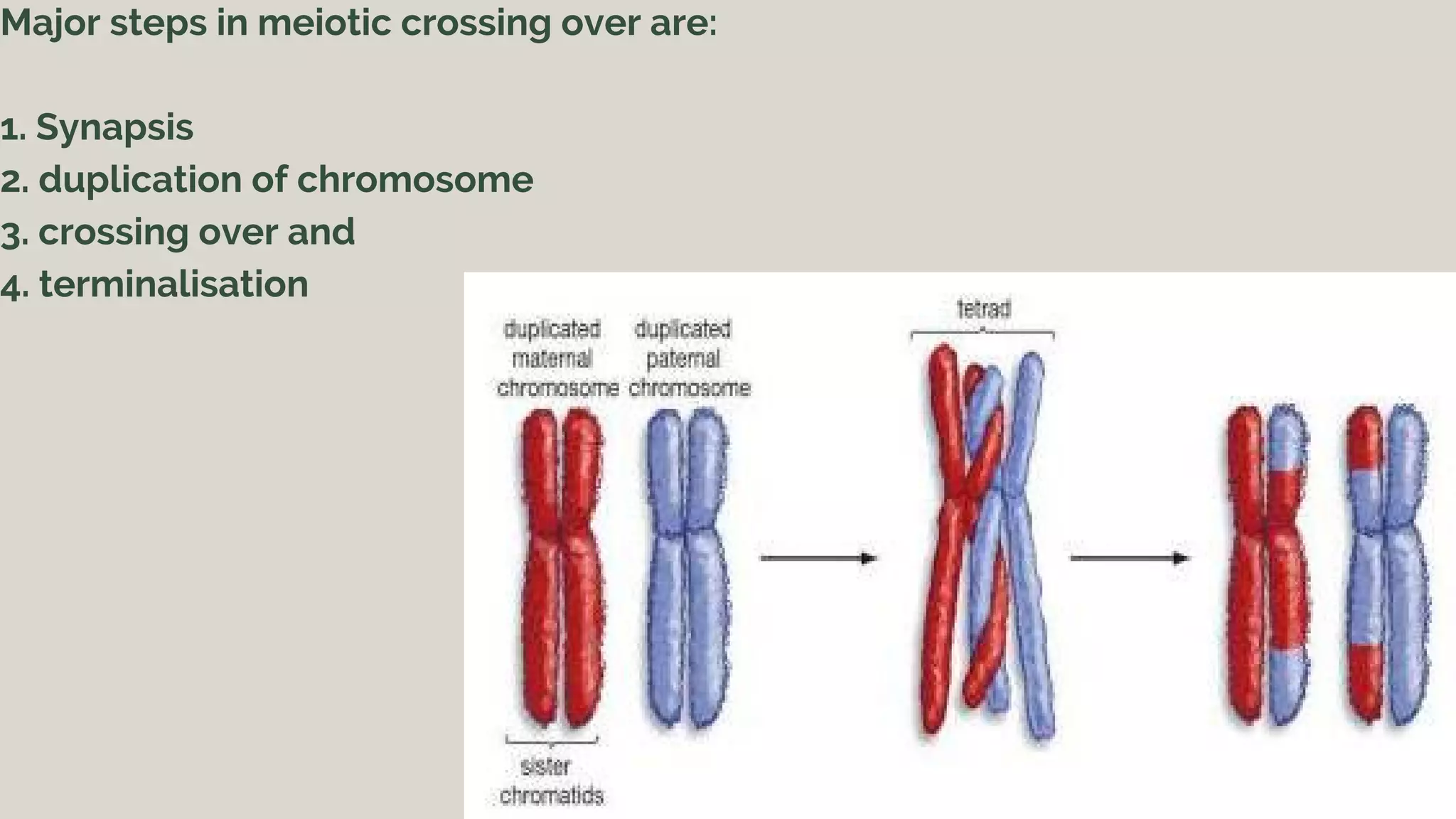 Crossing over and Recombination in Meiosos.pdf