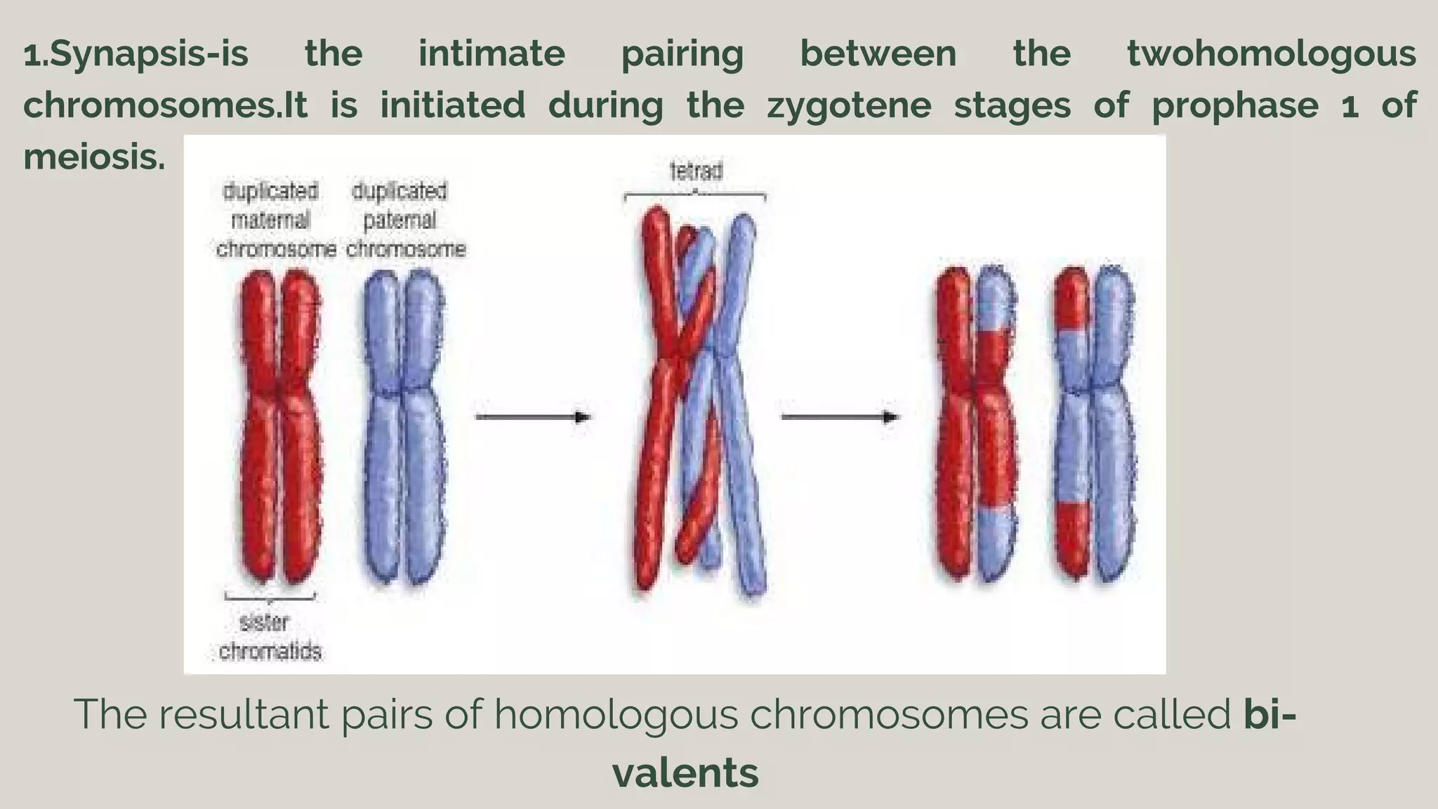 Crossing over and Recombination in Meiosos.pdf