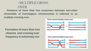 Crossing over and Recombination in Meiosos.pdf