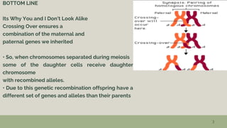 Crossing over and Recombination in Meiosos.pdf