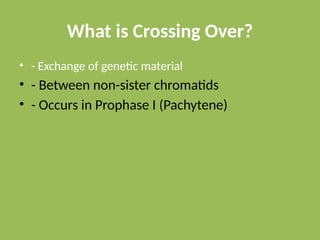 Joyce Crossing_Over_Modern_Presentation.pptx