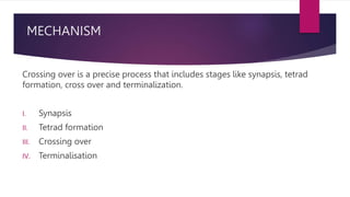 Meiosis stage: Crossing over take places | PPTX | Genetics | Science