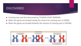 Meiosis stage: Crossing over take places | PPT