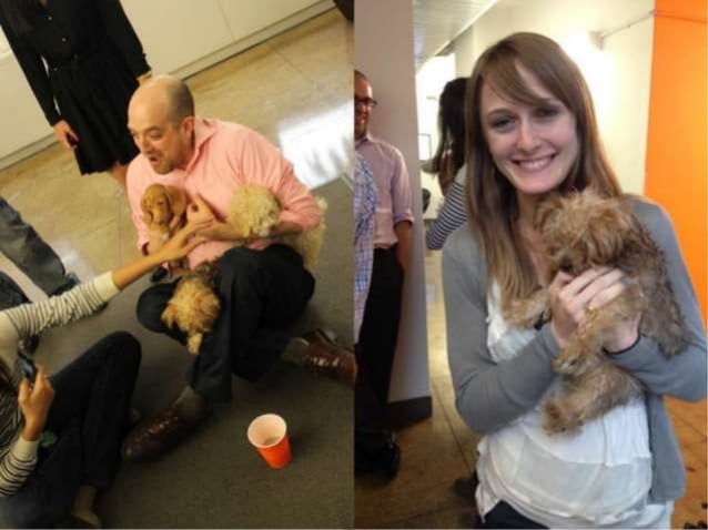 Crossix culture | PPT