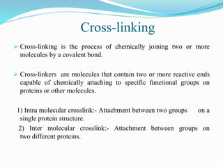 Cross linking by Photo- reactive chemical analogues. | PPT