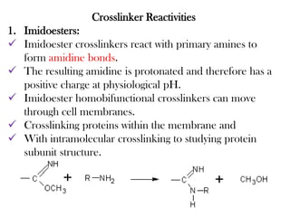 Cross linking pp | PPTX
