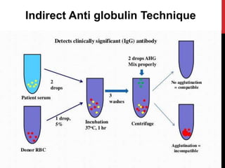 Crossmatching | PPTX