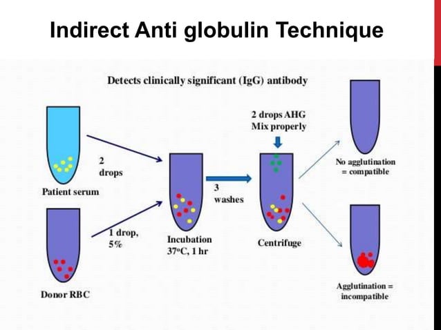 Crossmatching | PPTX | Blood Disorders | Diseases and Conditions