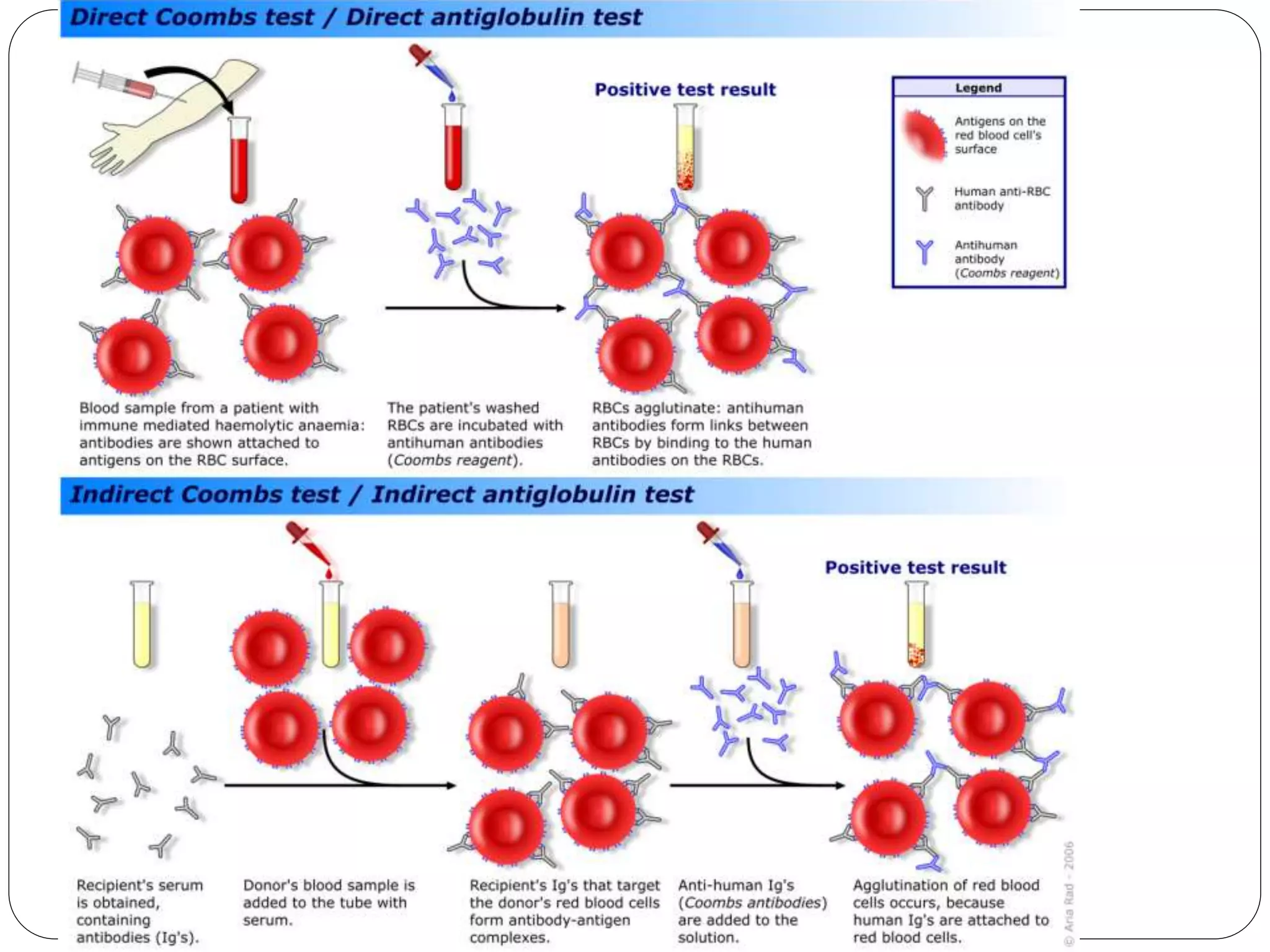 Crossmatching | PPTX